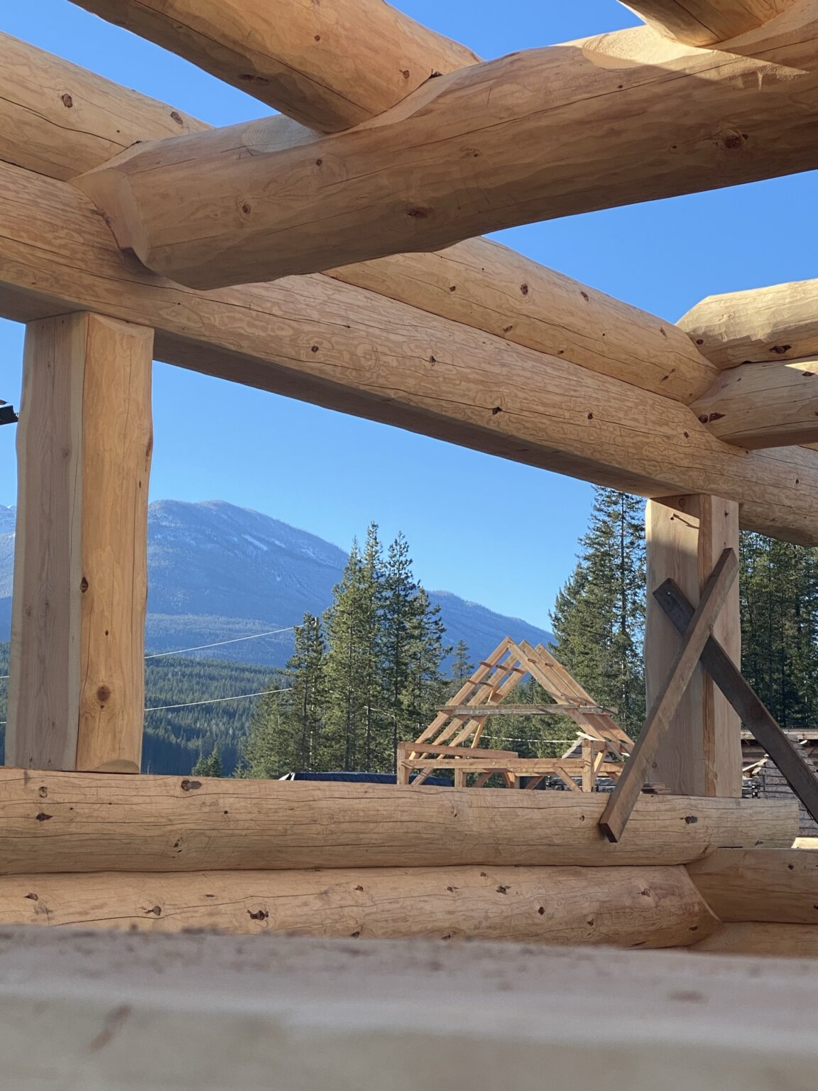 For Sale | log cabins and timberframes from courses | student built