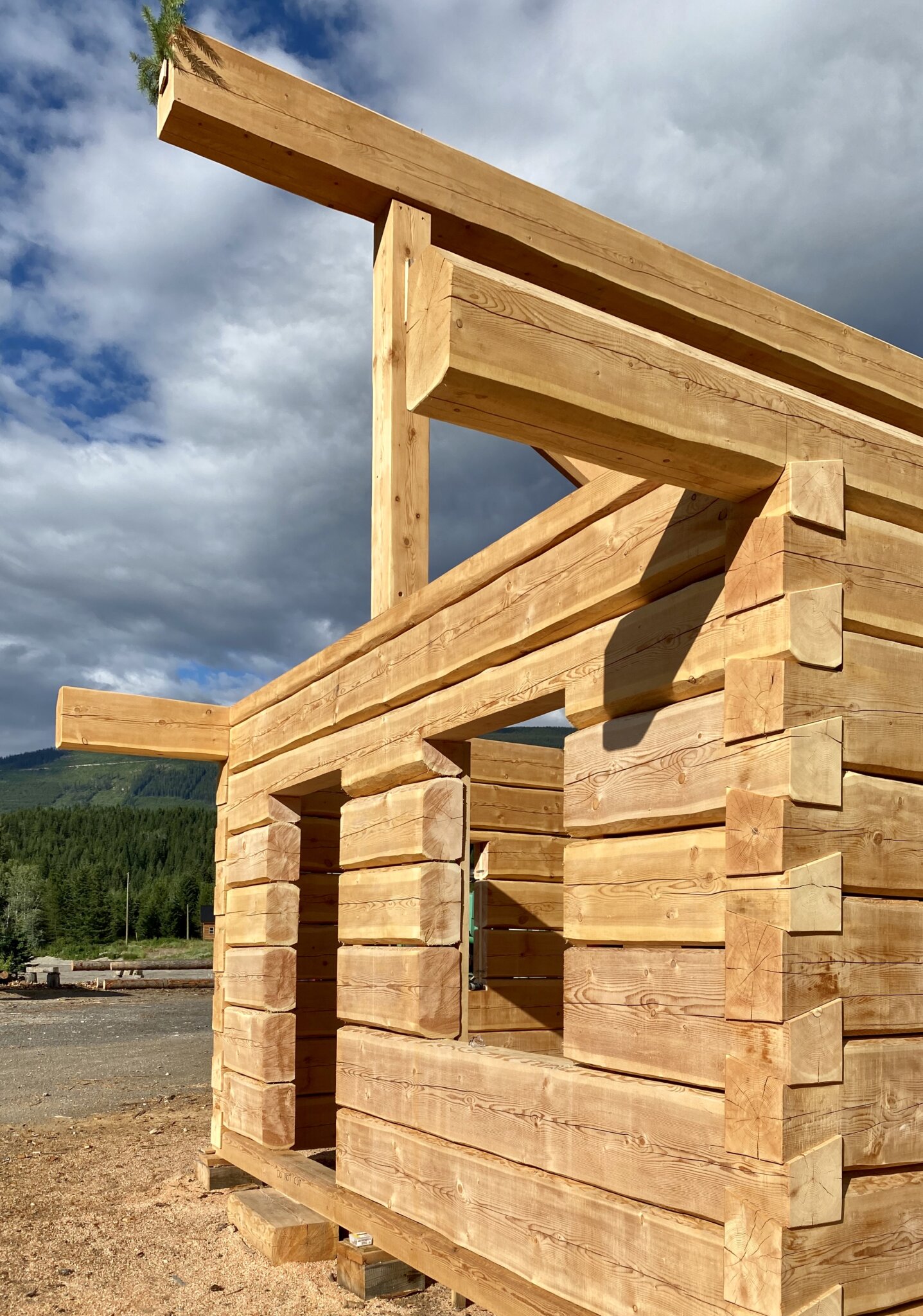 Log Cabin Shell | For Sale | Dovetail | Loft & Ridge Beam Installed